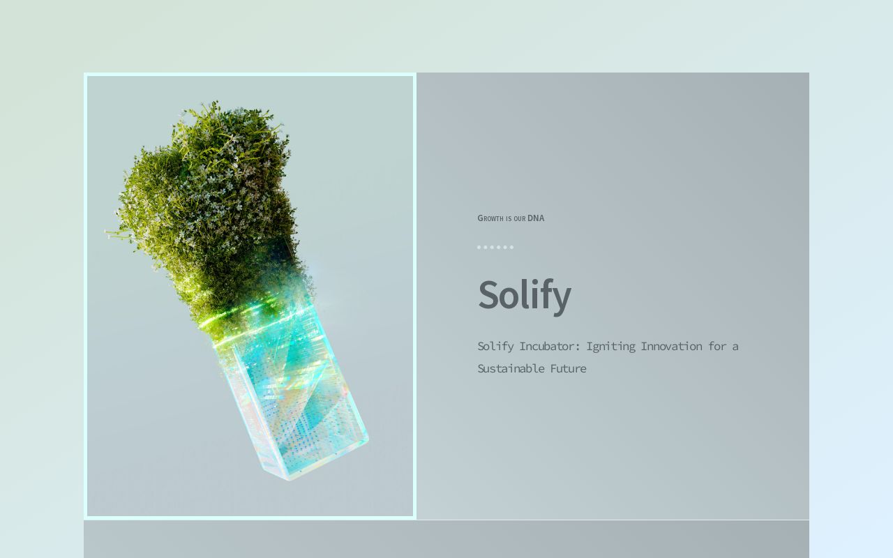 Solify | Growing Sustainable Startups is in Our DNA